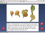 MKP - Assistive Software Products - Activities Building - Clicker Paint